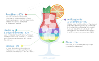 Infographie: composition de la Spiruline